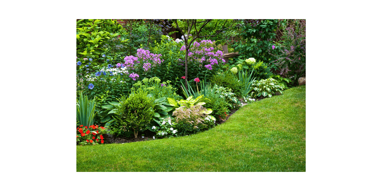 Small Backyard Landscaping Ideas for Granny Flats